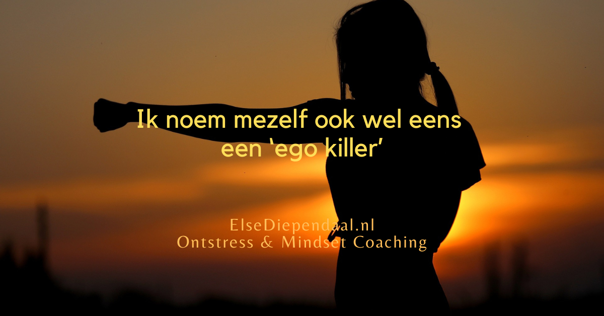 Ik noem mezelf ook wel eens een 'ego killer' - Else Diependaal